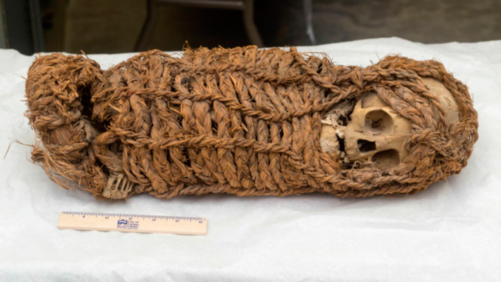 Devuelven al Perú una momia de origen aimara - Diario los Andes