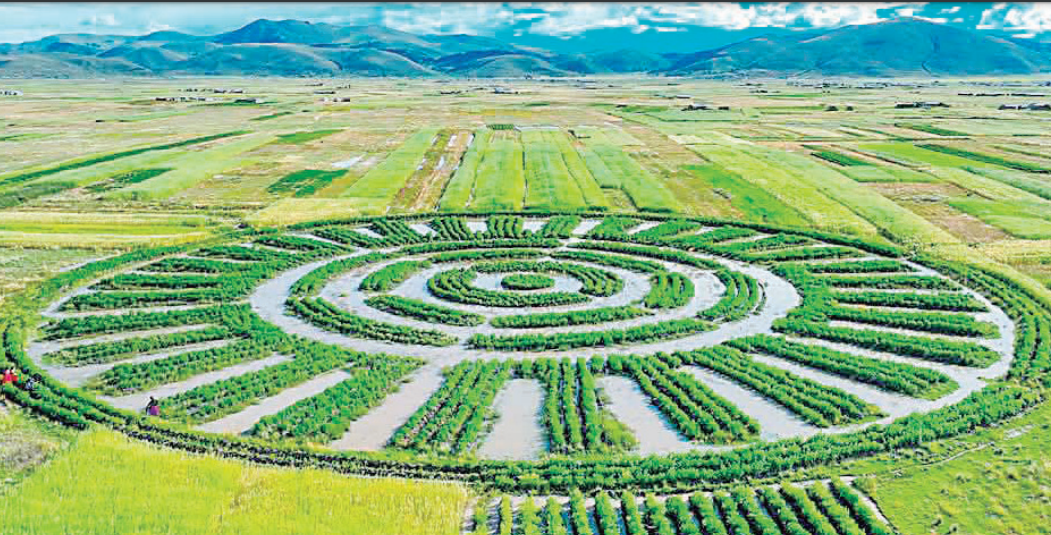 Puno: Los Waru Waru son patrimonio mundial - Diario los Andes